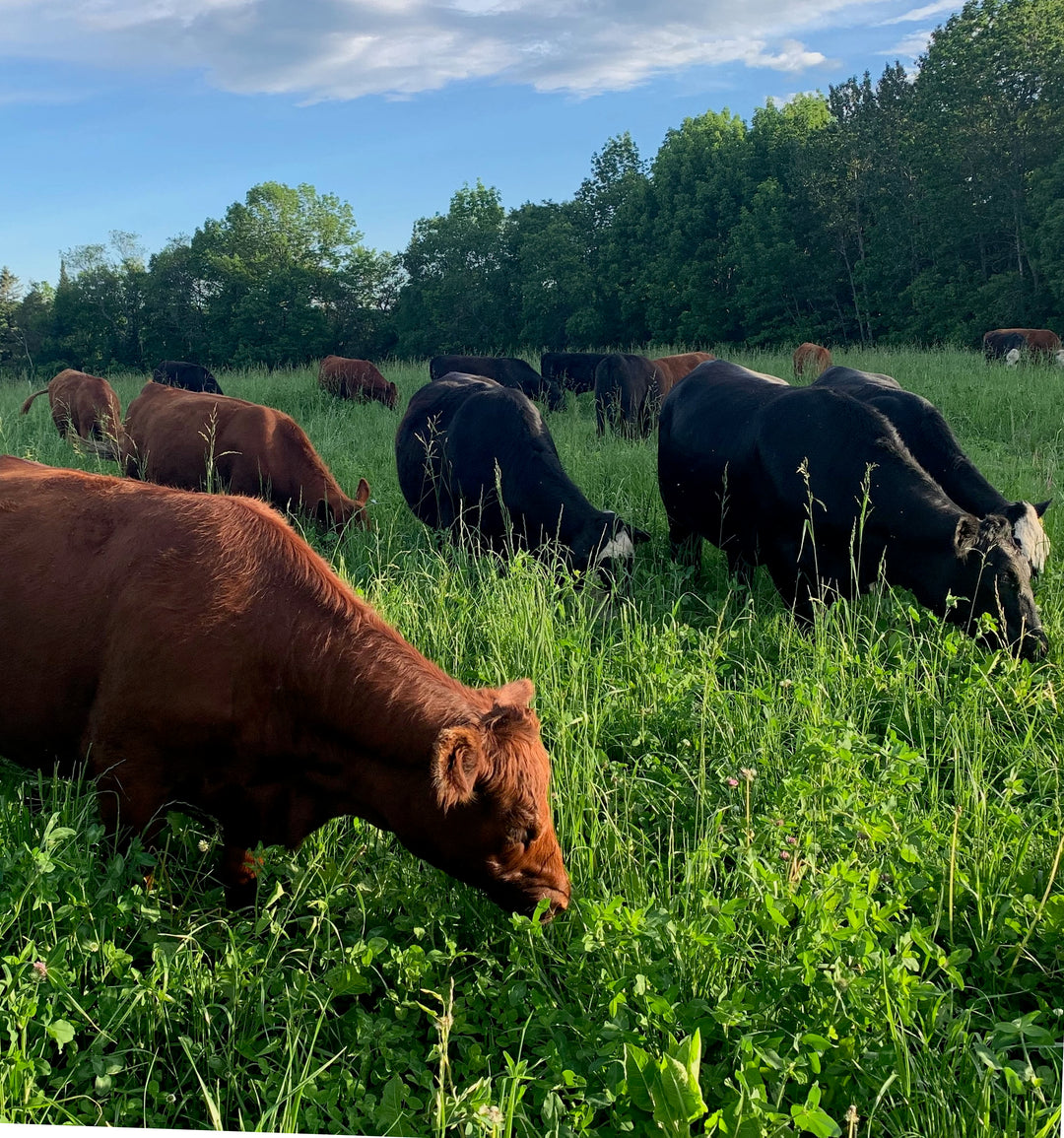 100% Grass Fed Strip Steaks – Heartstone Farm