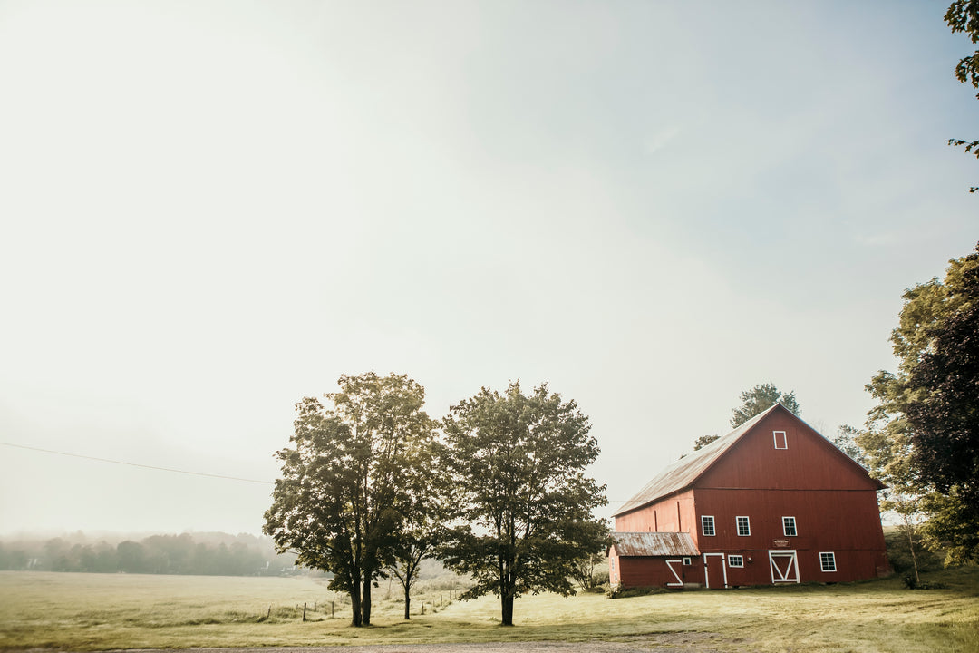 our partner farms – Heartstone Farm